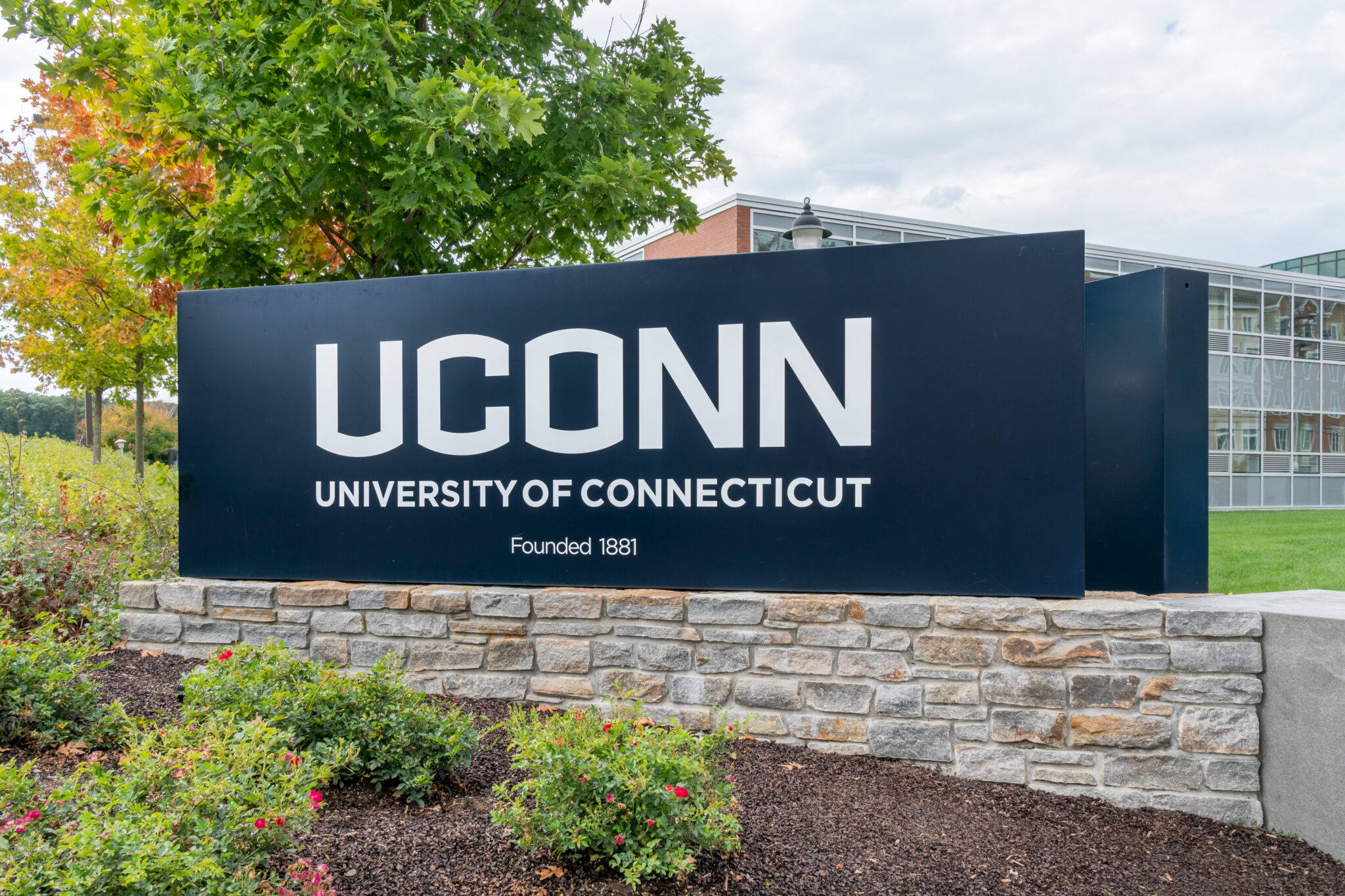 BDS Resolution Defeated by University of Connecticut Student Senate ...